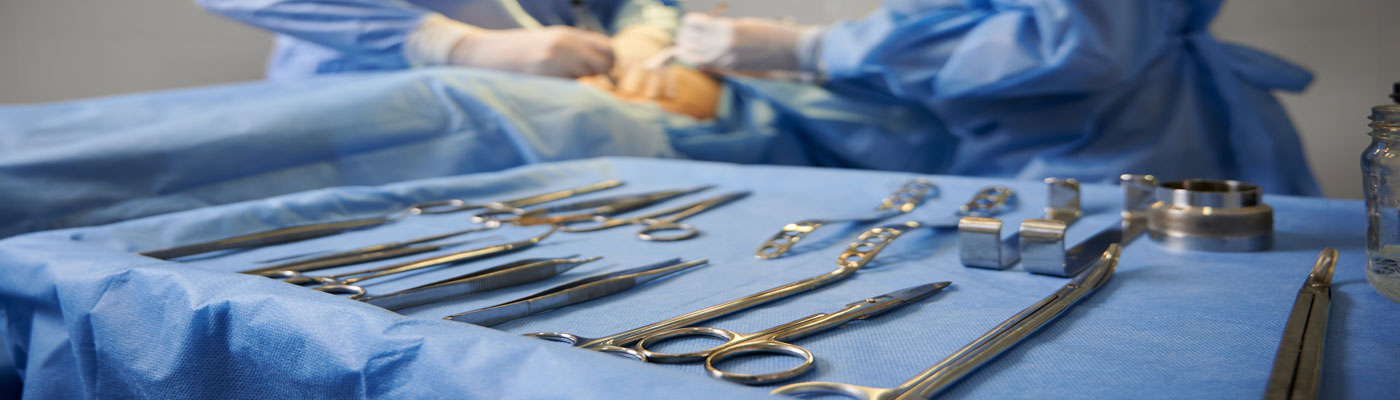 Schreiner University Sterile Processing & Surgical Technologist Online ...